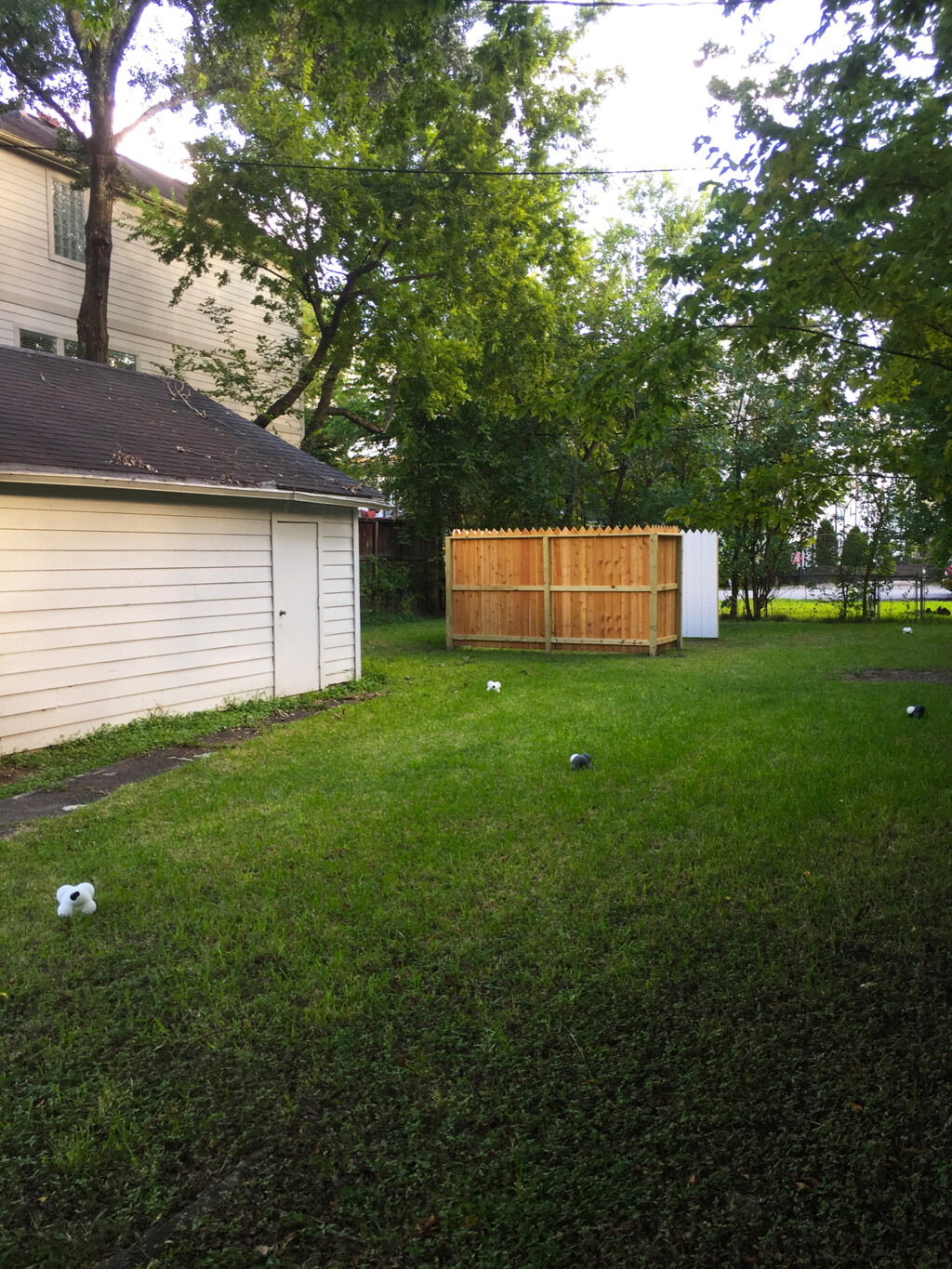 F Magazine — LISA LAPINSKI: SNOOPY MITOSIS