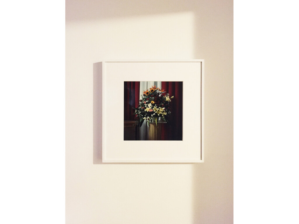 F Magazine — AMY BLAKEMORE: THREE PHOTOGRAPHS