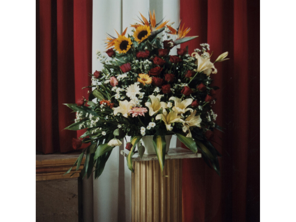 F Magazine — AMY BLAKEMORE: THREE PHOTOGRAPHS