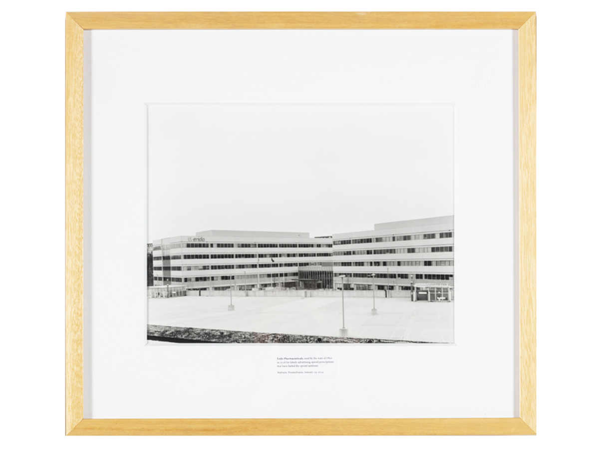 F Magazine — NICK ANGELO: BREAD AND CIRCUSES