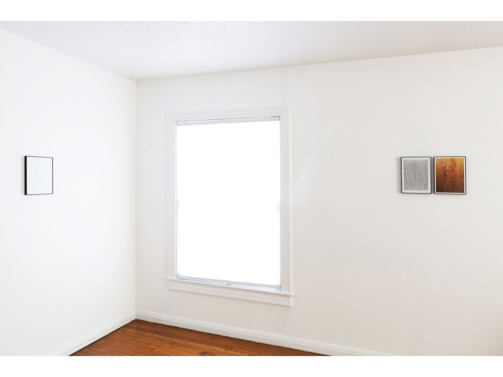 F Magazine — BARBARA ESS: A PHILOSOPHY OF PHOTOGRAPHY II